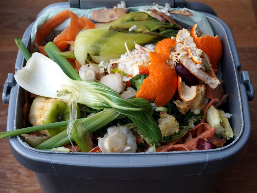 Reusing Food Waste | homeonlinetips.com